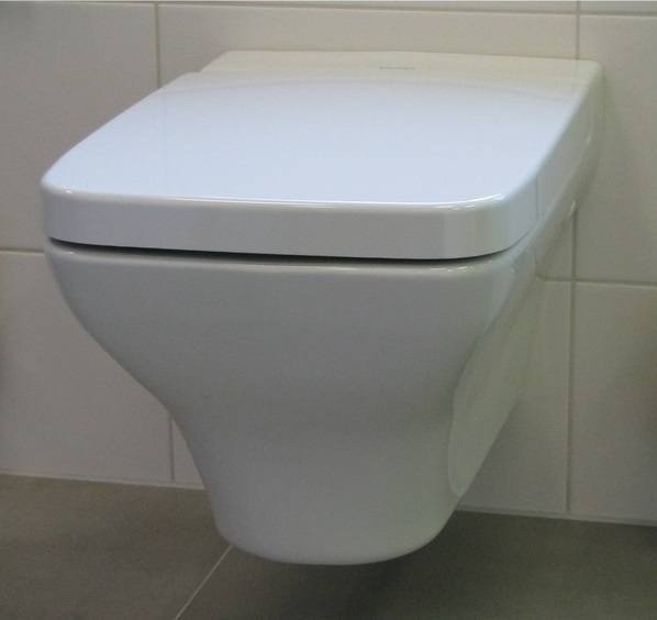 Duravit PuraVida 221909 00 00 Унитаз подвесной (белый), купить в ...