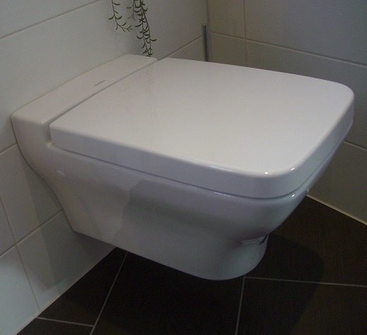 Duravit PuraVida 221909 00 00 Унитаз подвесной (белый), купить в ...