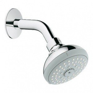 GROHE Tempesta Rustic 100 26089001 Верхний душ с кронштейном (хром ...