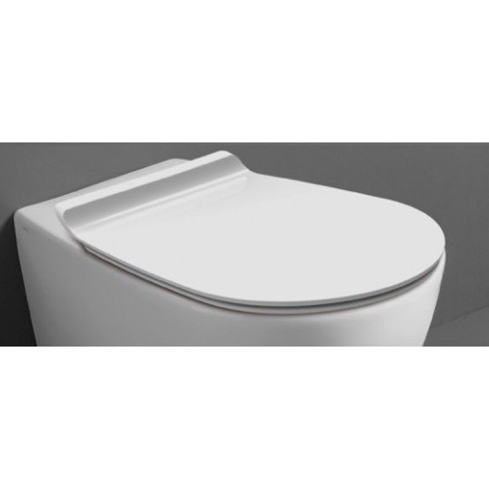 SIMAS Bormio BR006 bi/cr Сиденье и крышка для унитаза, купить в магазине сантехники Сантехмаг.Ру