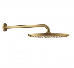 GROHE Rainshower 27074GL0 Держатель ручного душа, купить в интернет ...