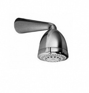 GROHE Tempesta Rustic 100 26089001 Верхний душ с кронштейном (хром ...